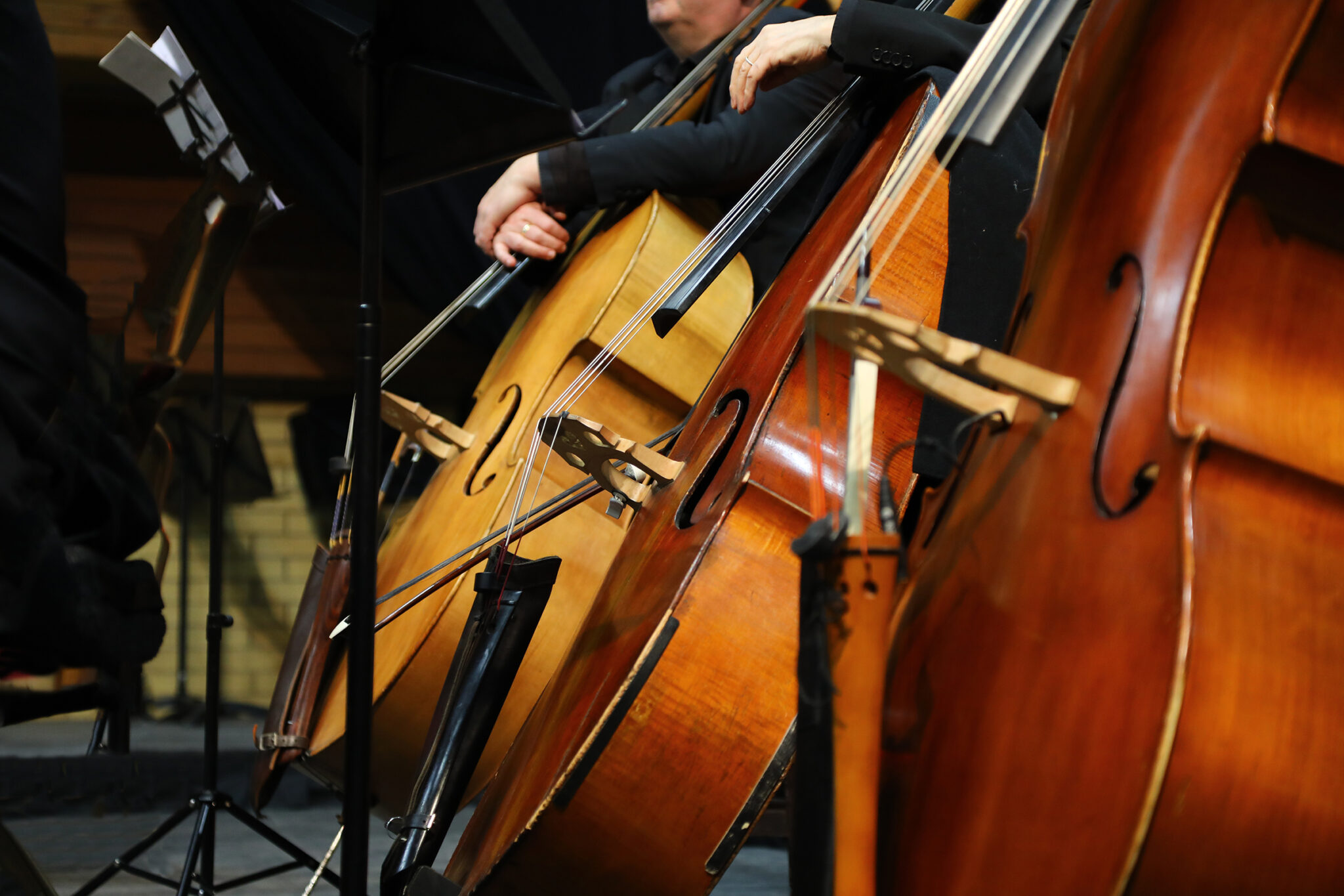 Season Ahead – Lakeland Sinfonia